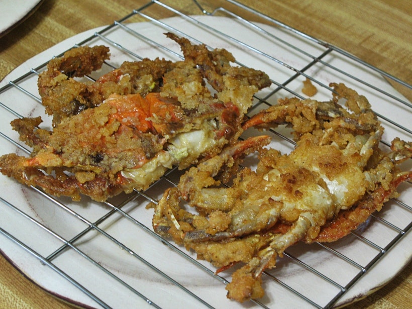 Dove mangiare le moeche a Venezia